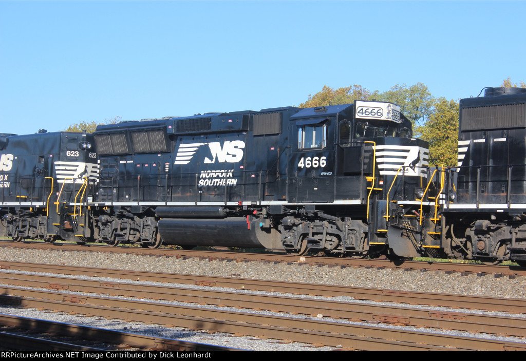 NS 4666